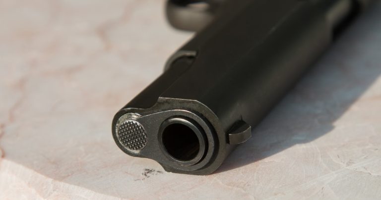 Bruni Top-Venting Blank-Firing Guns Amnesty: Legal Risks of Owning ...